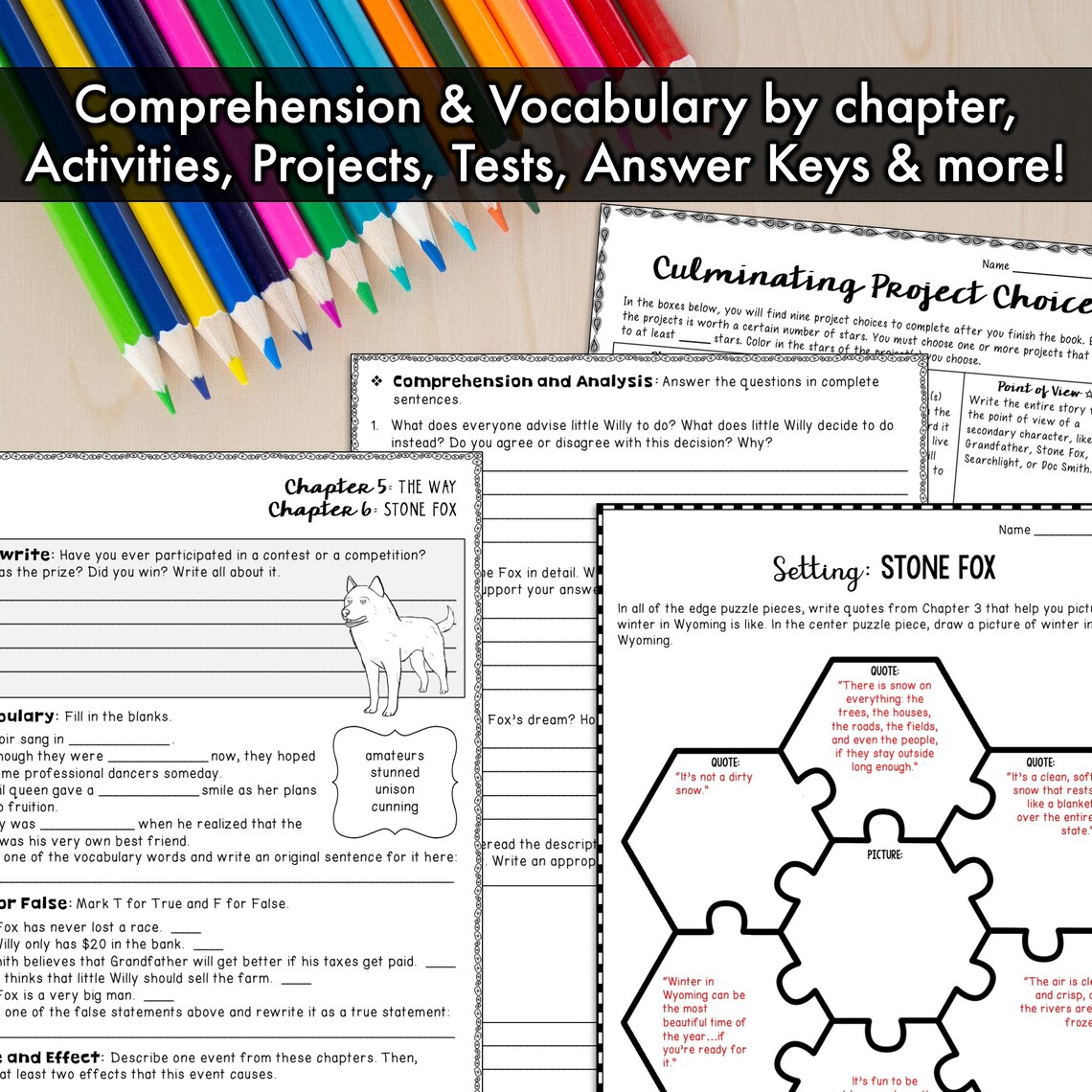 Stone Fox Novel Study Unit | Literature Guide | Comprehension ...
