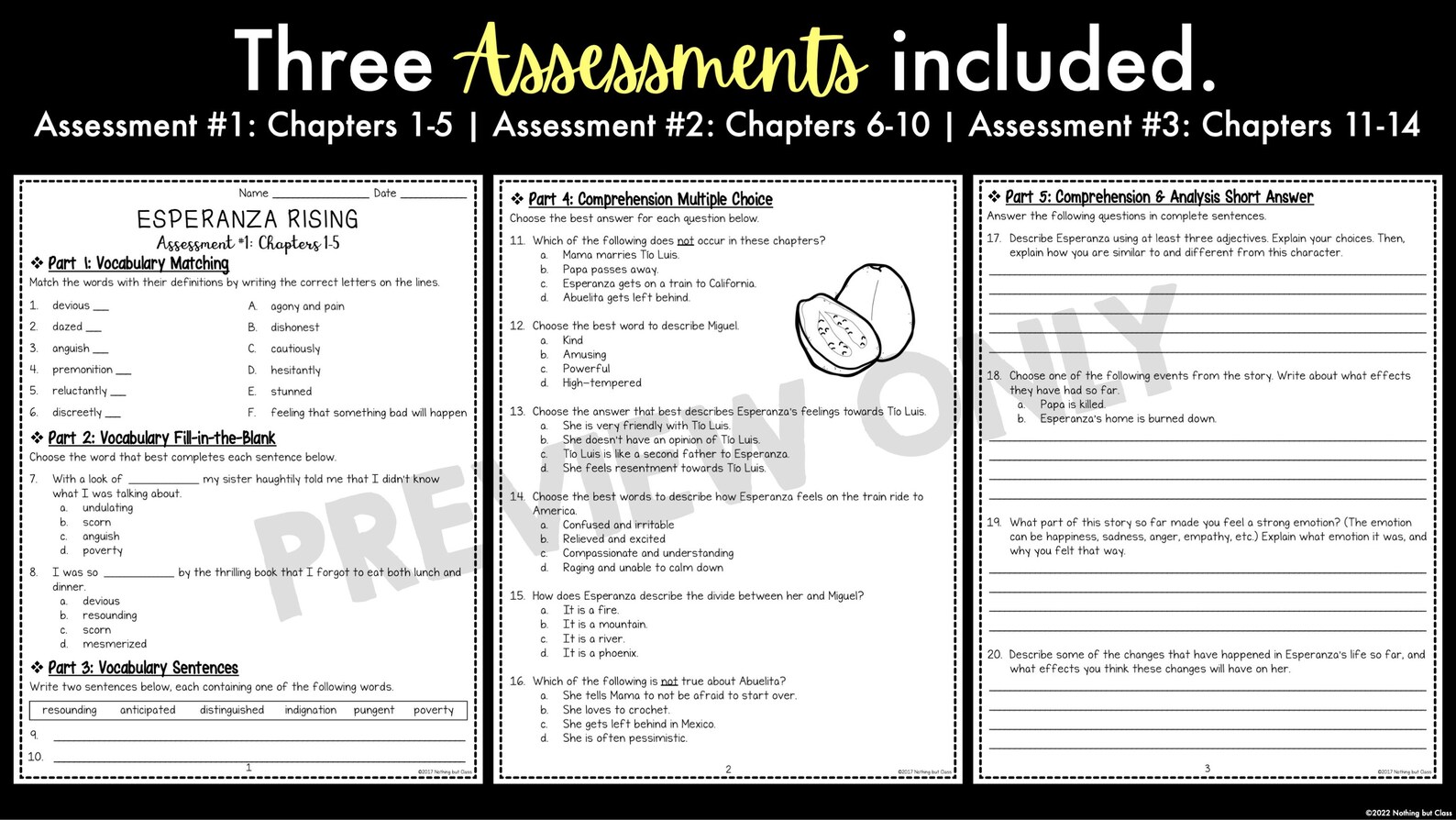 Esperanza Rising Novel Study Unit | Literature Guide | Comprehension ...