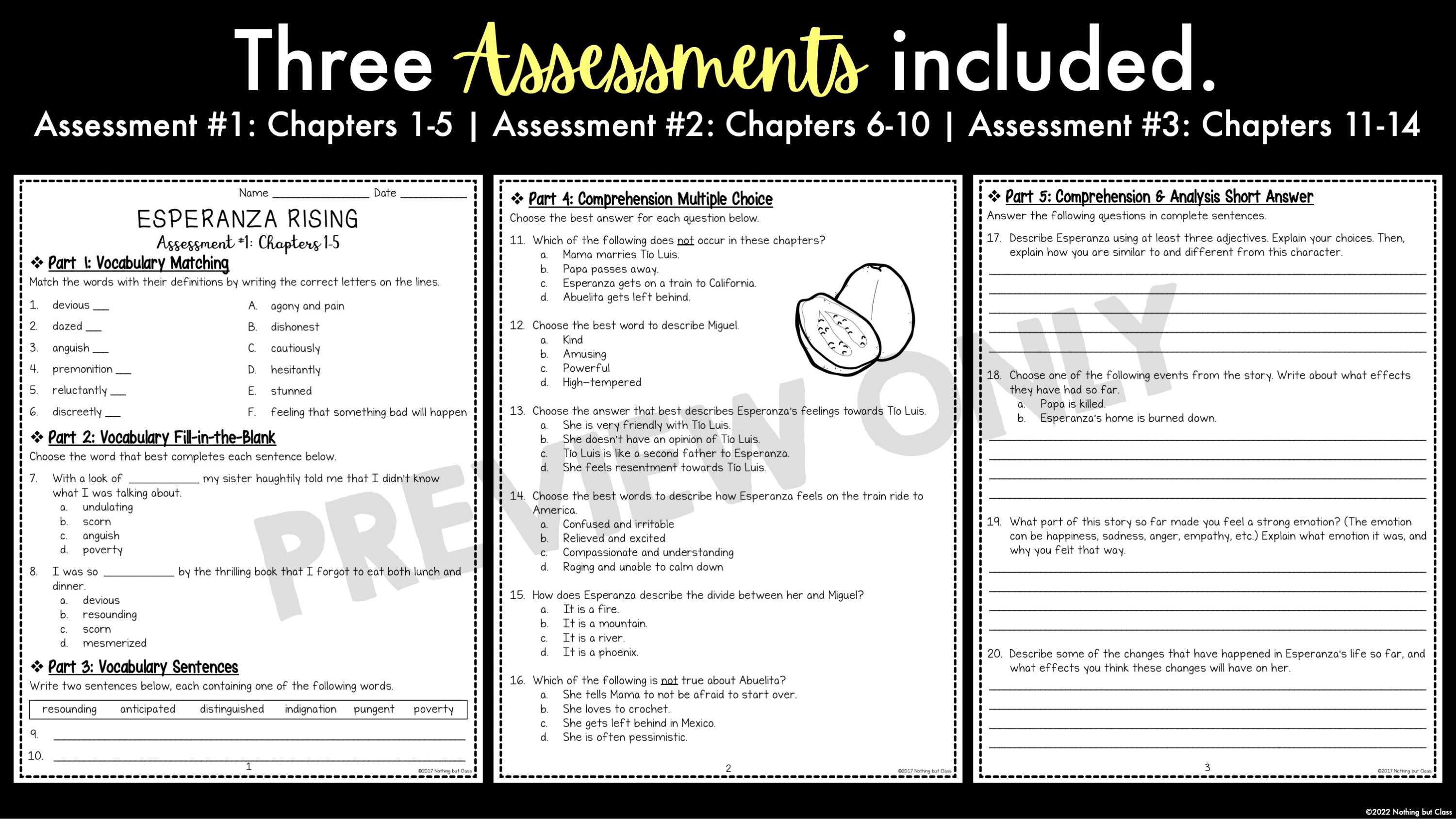 Esperanza Rising Novel Study Unit | Literature Guide | Comprehension ...