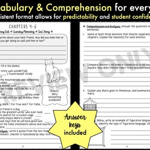 The Cricket in Times Square | Comprehension and Vocabulary by Chapter ...