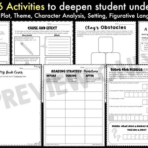 Troublemaker Novel Study Unit | Literature Guide | Comprehension ...