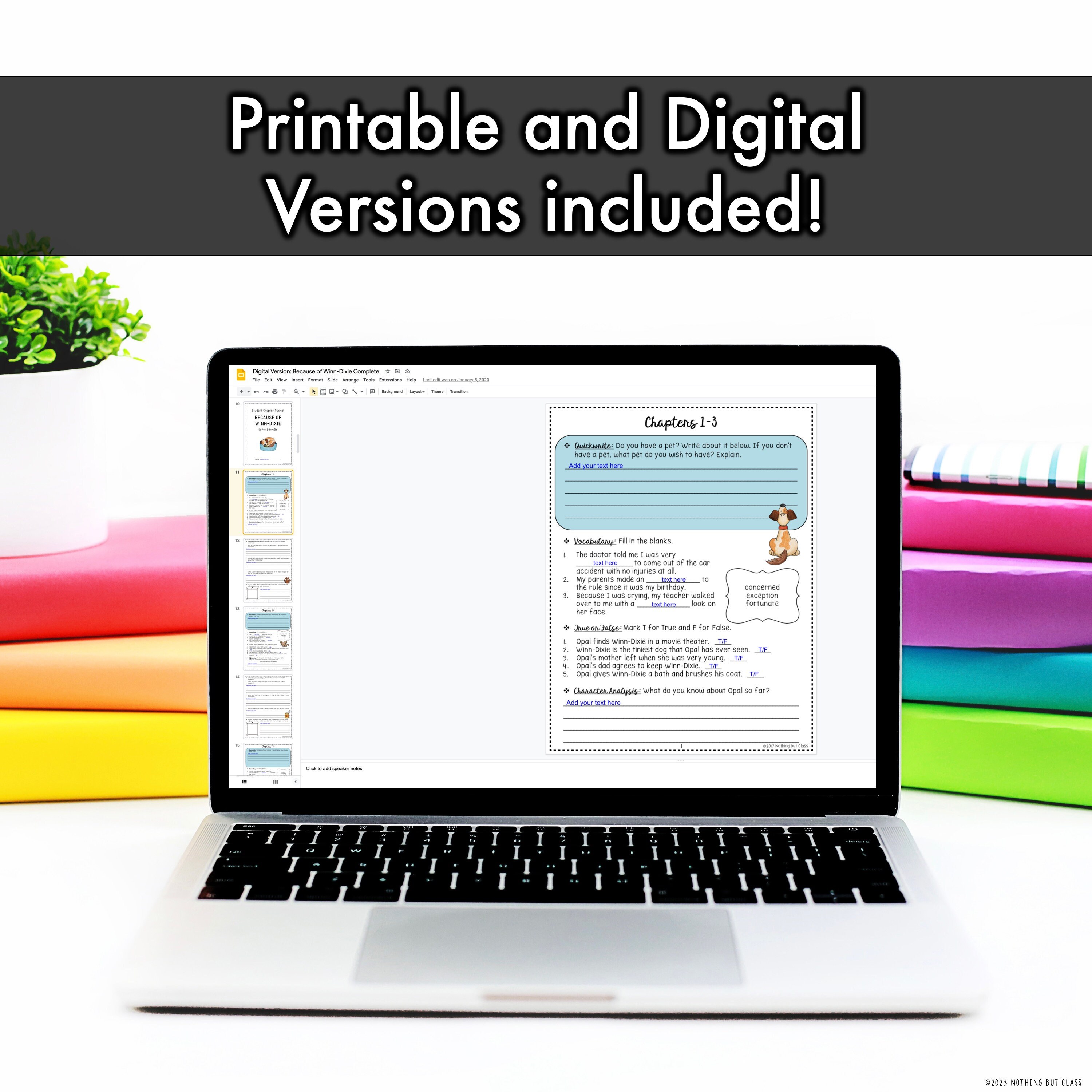 Because of Winn-dixie | Comprehension and Vocabulary by Chapter ...