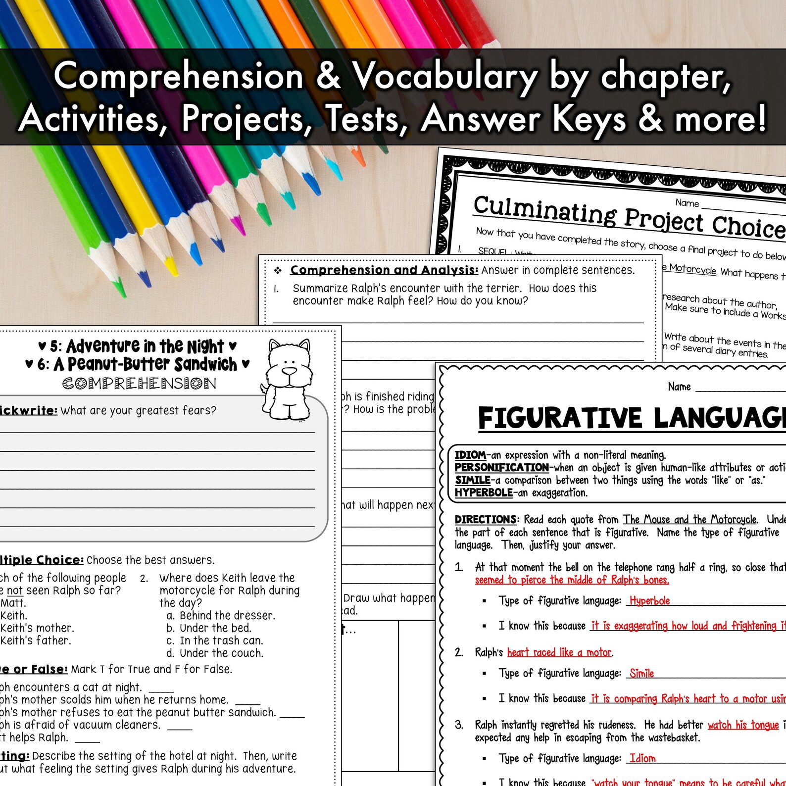 The Mouse and the Motorcycle Novel Study Unit | Literature Guide ...