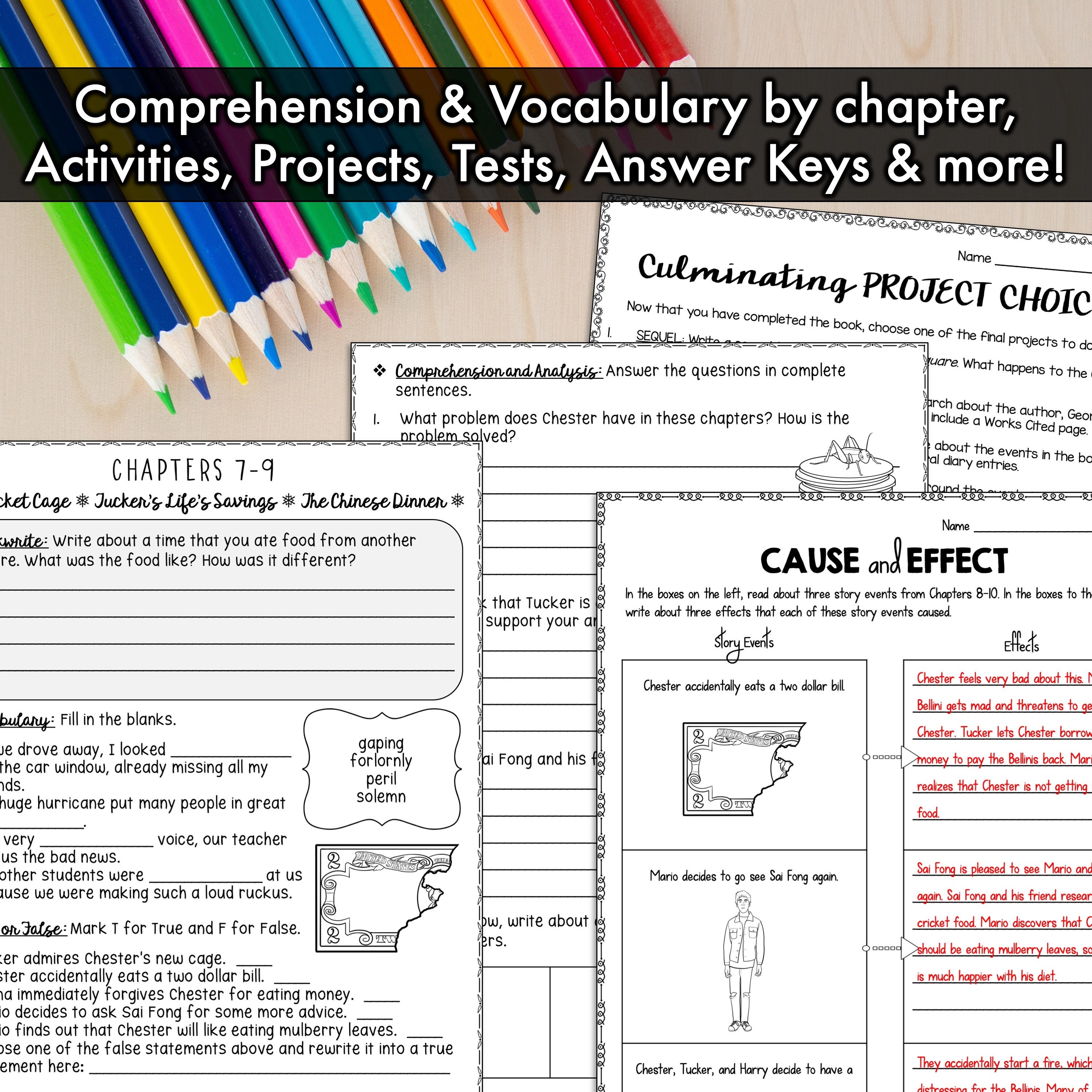 The Cricket in Times Square Novel Study Unit | Literature Guide ...