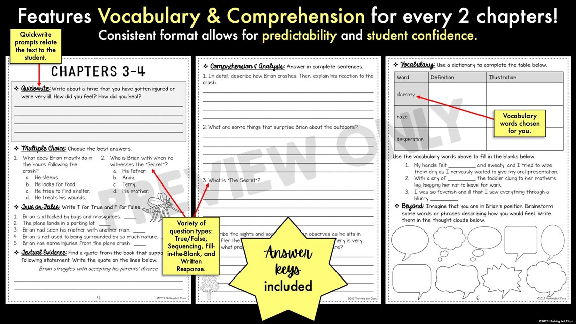 Hatchet | Comprehension and Vocabulary by Chapter | Guided Reading ...