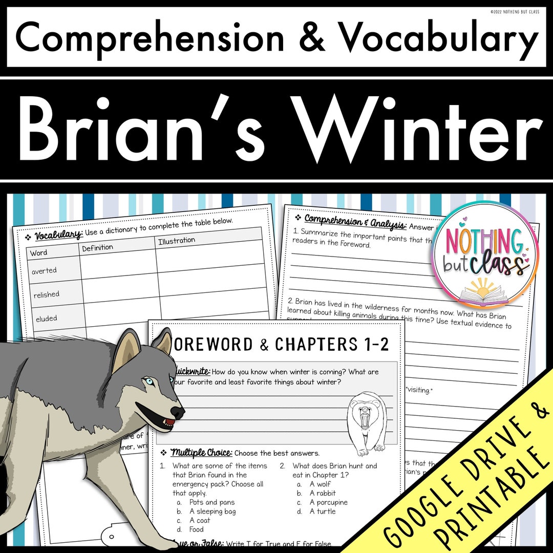 Brian's Winter | Comprehension and Vocabulary by Chapter | Guided ...