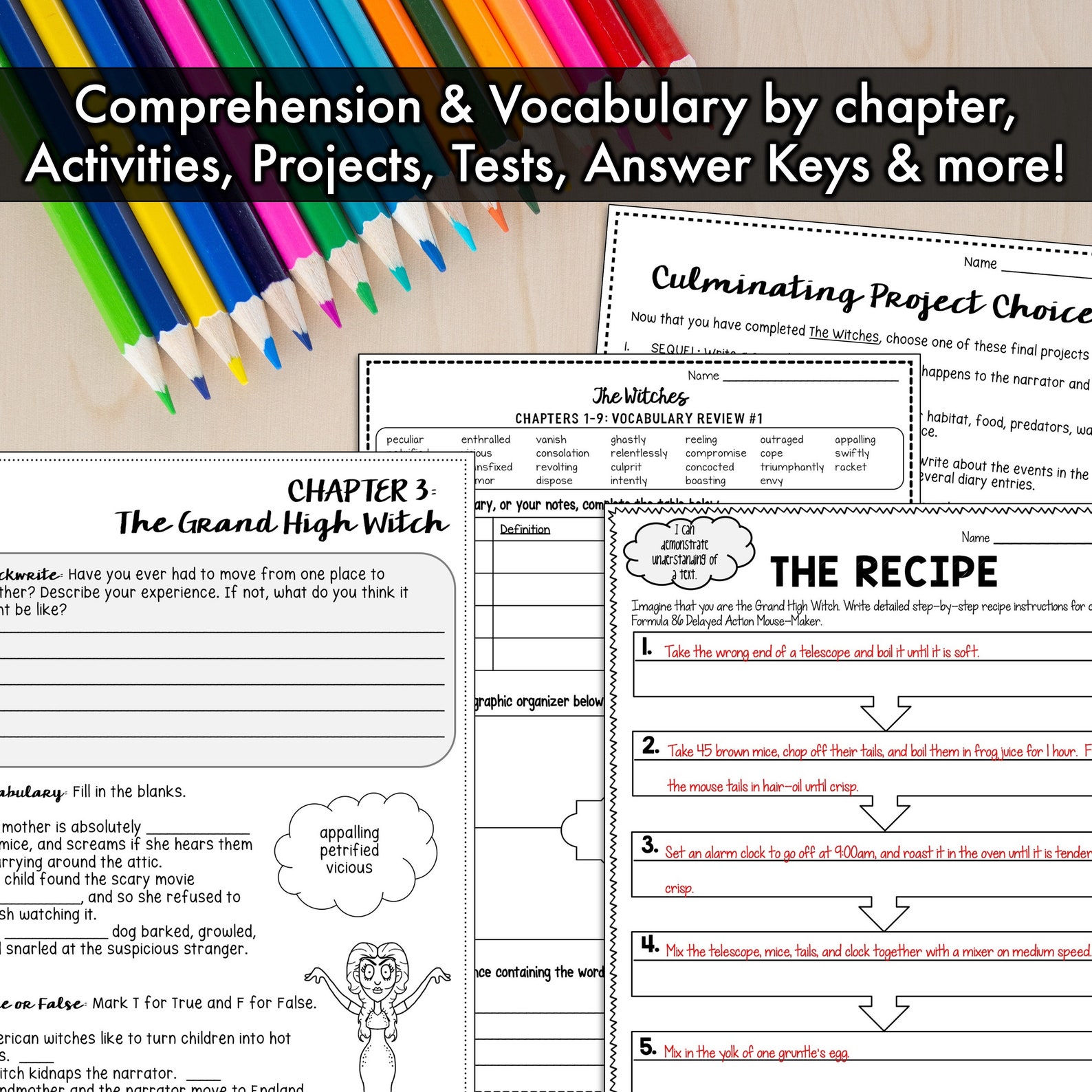 The Witches Novel Study Unit | Literature Guide | Comprehension ...