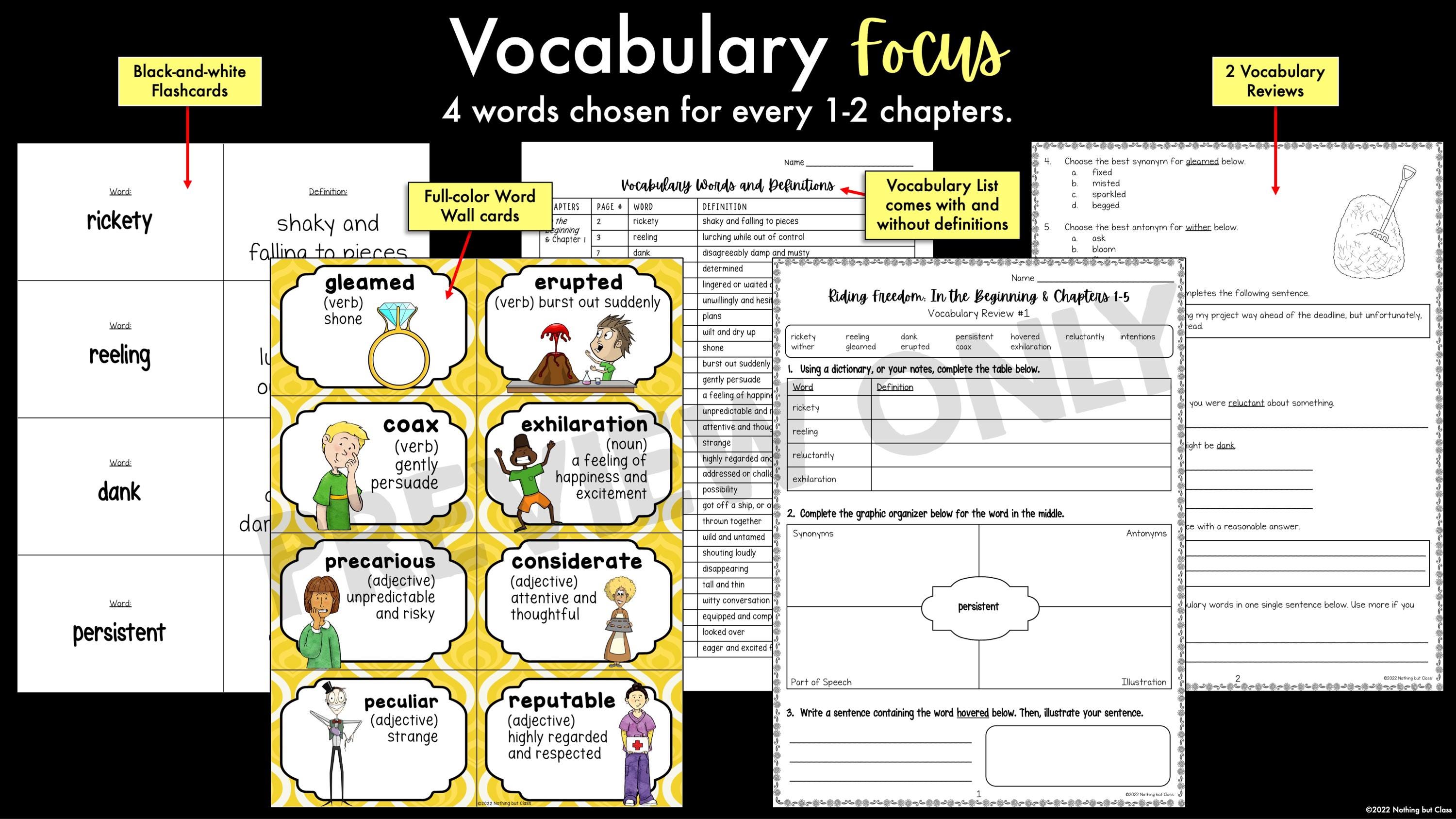 Riding Freedom | Comprehension and Vocabulary by Chapter | Guided ...