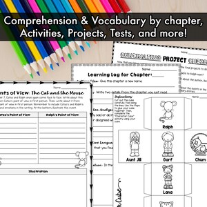 Runaway Ralph Novel Study Unit | Literature Guide | Comprehension ...