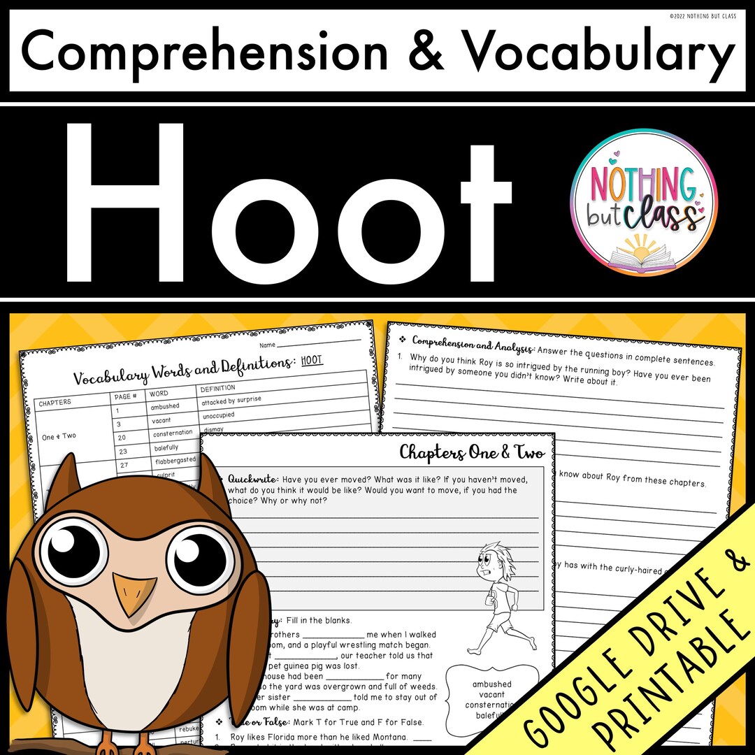 Hoot | Comprehension and Vocabulary by Chapter | Guided Reading ...