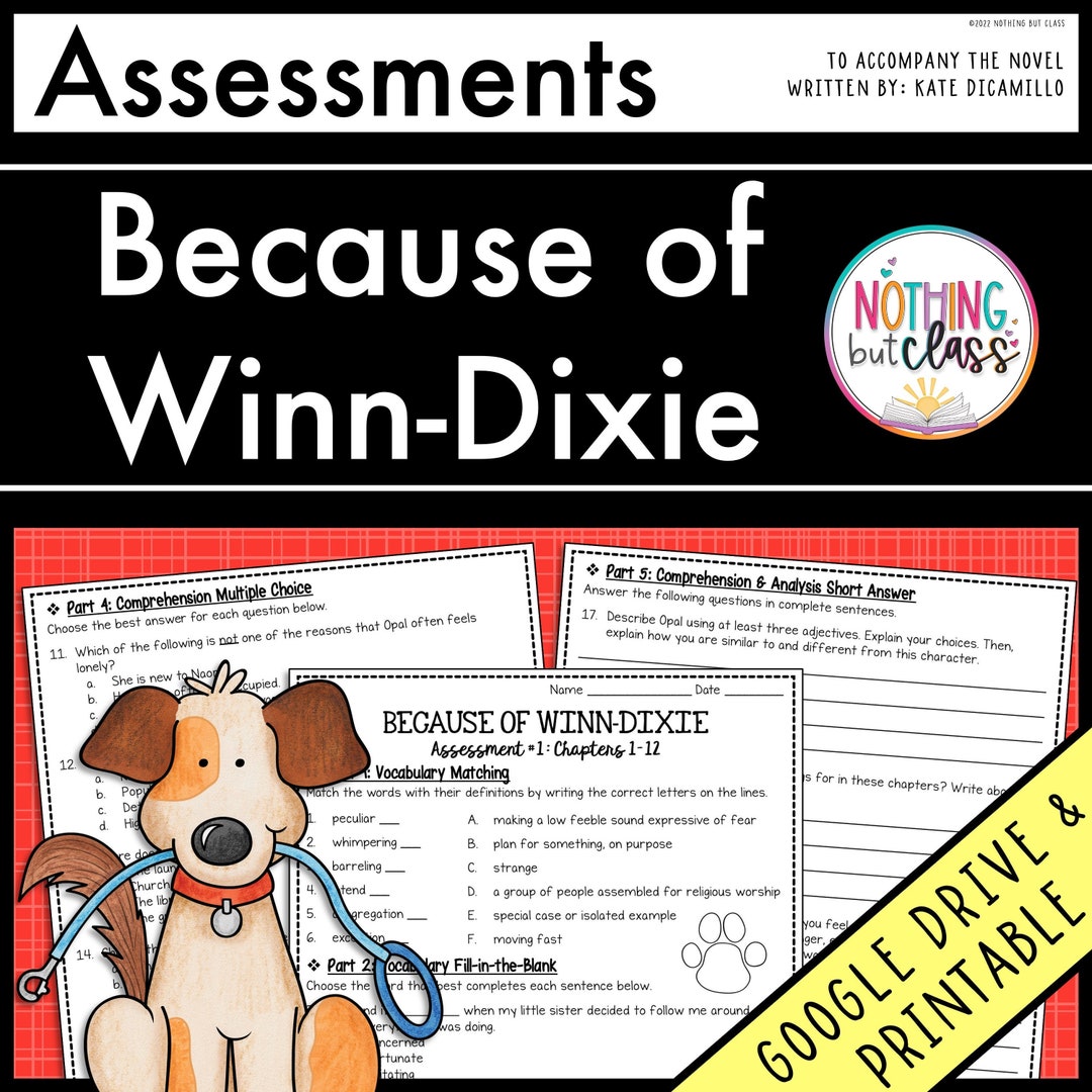 Because of Winn-dixie Tests | Quizzes | Assessments - Etsy