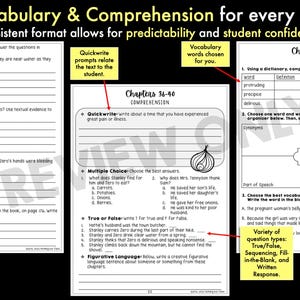 Holes | Comprehension and Vocabulary by Chapter | Guided Reading ...