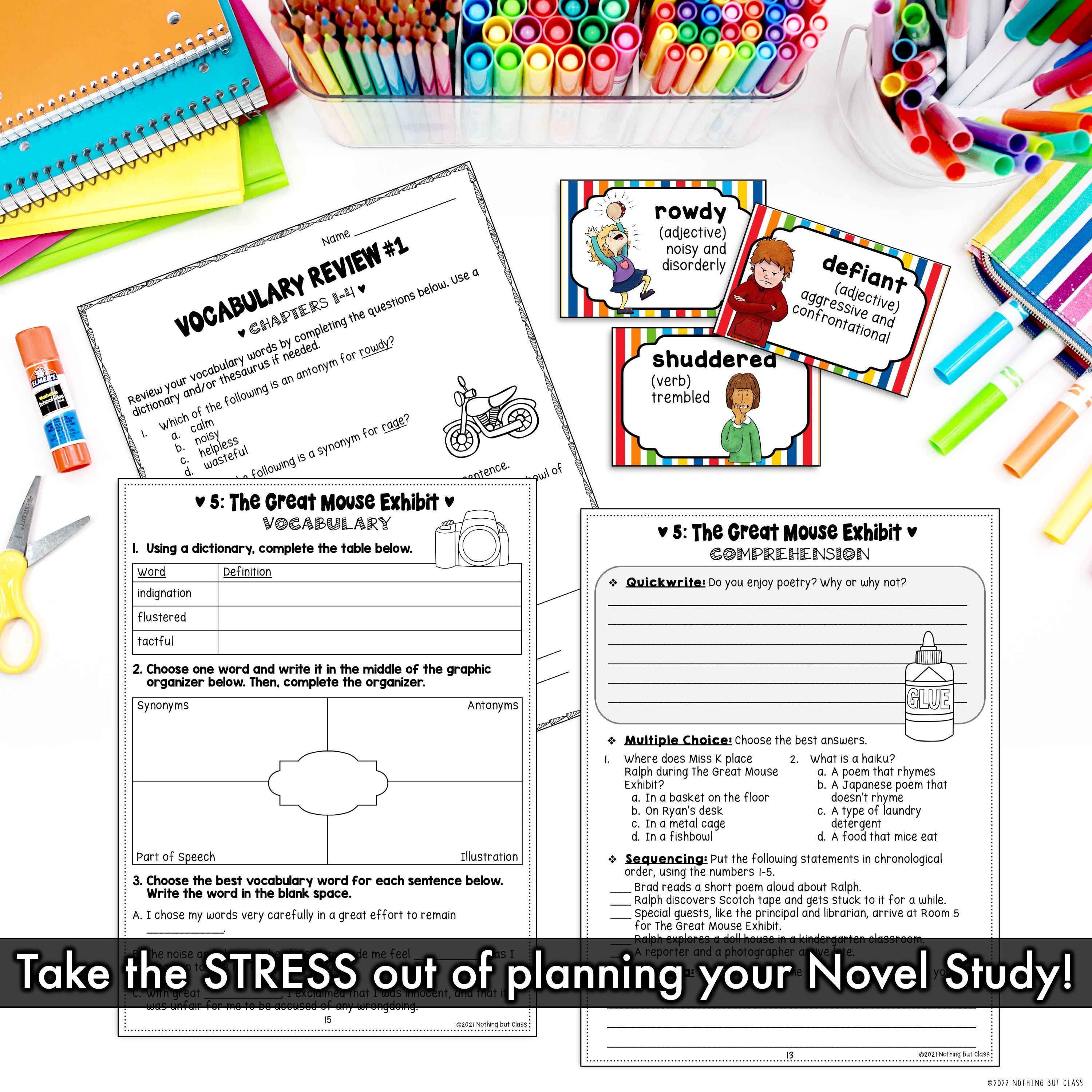 Ralph S. Mouse | Comprehension and Vocabulary by Chapter | Guided ...