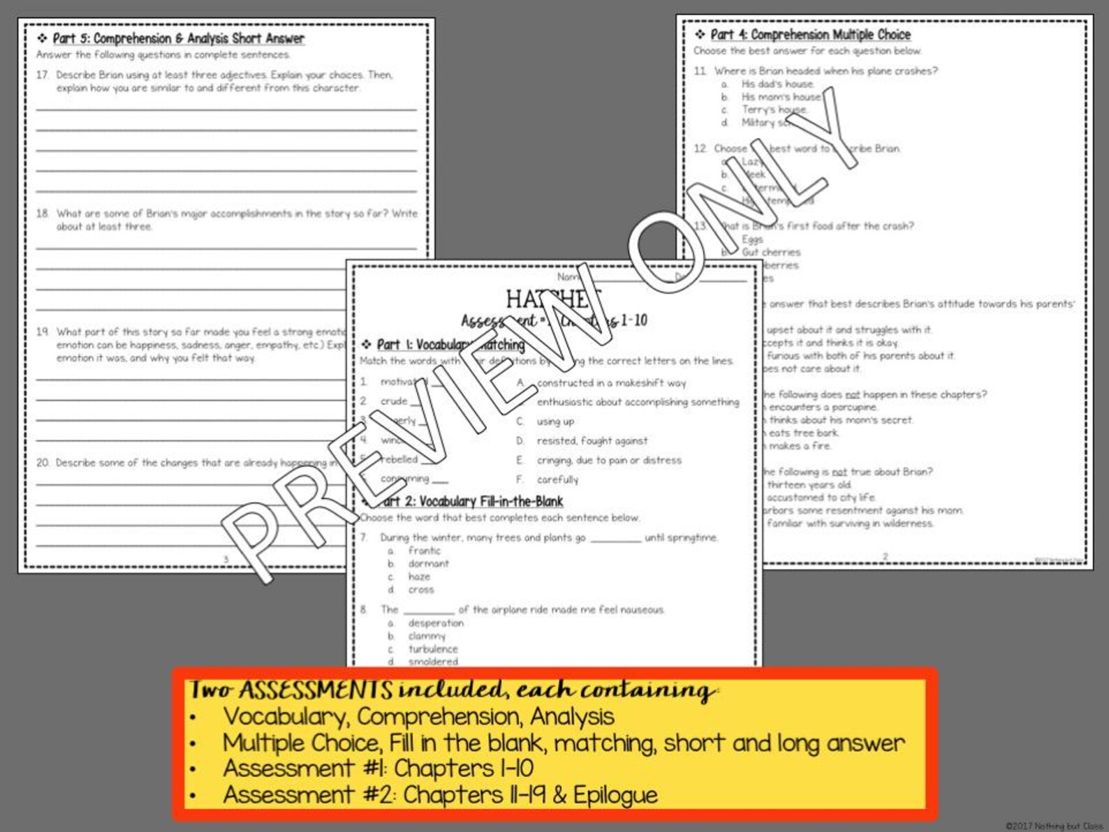 Hatchet - Tests | Quizzes | Assessments for Novel Study - Etsy