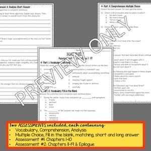 Hatchet - Tests | Quizzes | Assessments for Novel Study - Etsy