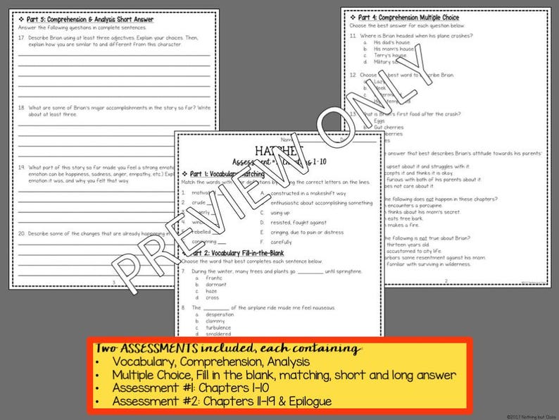 Hatchet - Tests | Quizzes | Assessments for Novel Study - Etsy