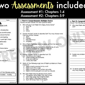 Runaway Ralph Novel Study Unit | Literature Guide | Comprehension ...