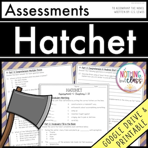 Hatchet - Tests | Quizzes | Assessments for Novel Study - Etsy