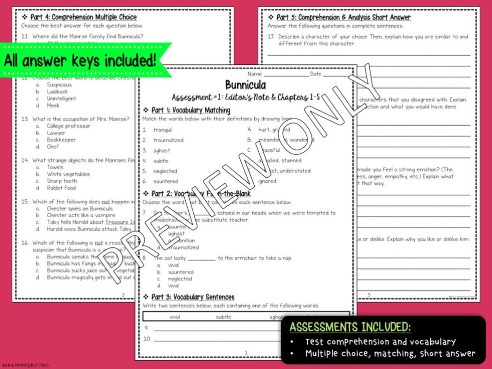 Bunnicula Tests | Quizzes | Assessments - Printables for Homeschool or ...