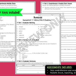 Bunnicula Tests | Quizzes | Assessments - Printables for Homeschool or ...