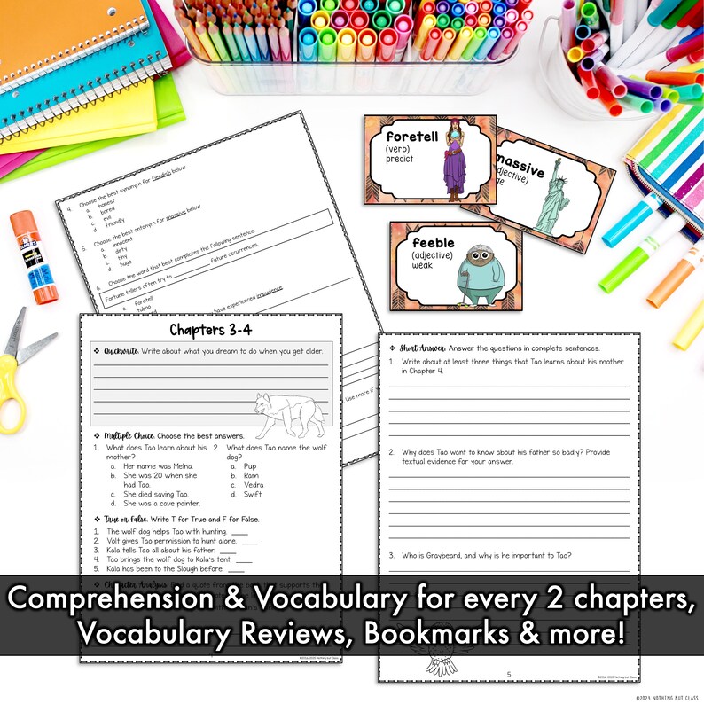 Boy of the Painted Cave | Comprehension and Vocabulary by Chapter ...