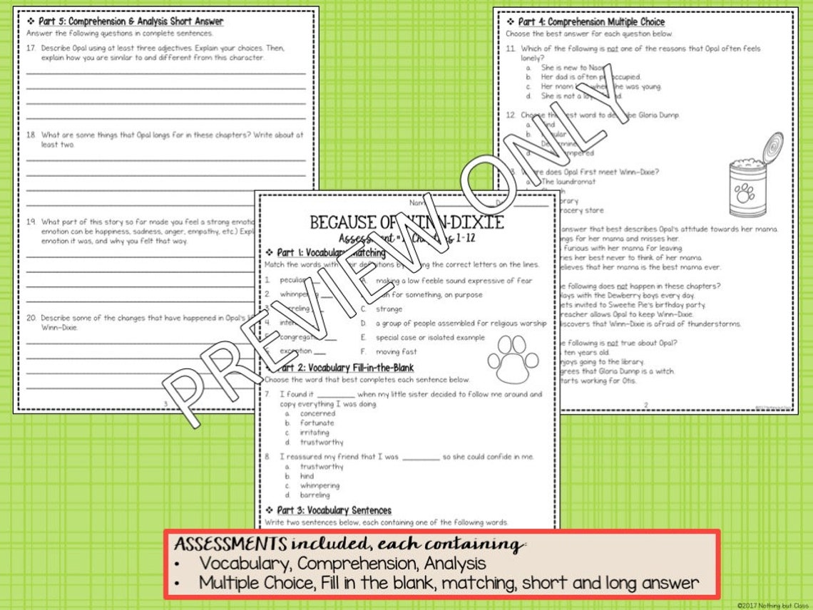 Because of Winn-dixie Tests | Quizzes | Assessments - Etsy