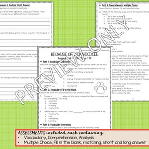 Because of Winn-dixie Tests | Quizzes | Assessments - Etsy