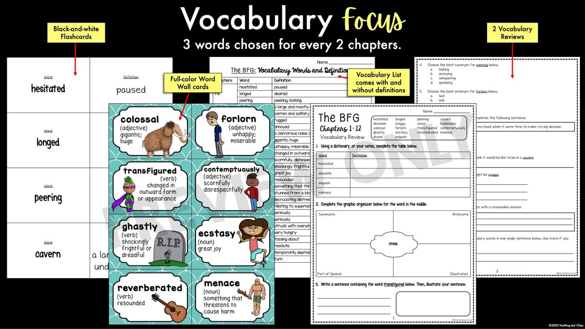 The BFG Novel Study Unit Literature Guide Comprehension Worksheets ...