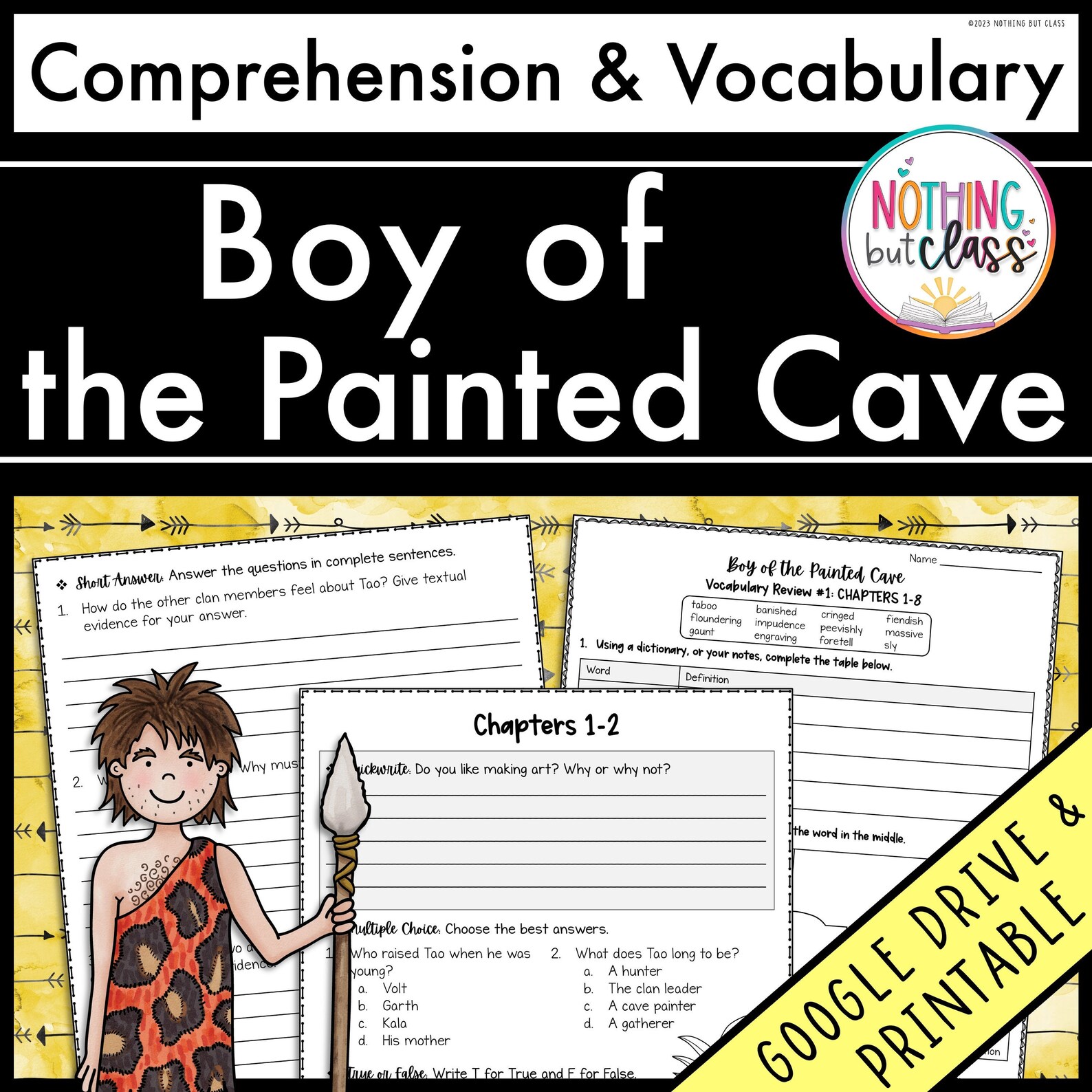 Boy of the Painted Cave | Comprehension and Vocabulary by Chapter ...