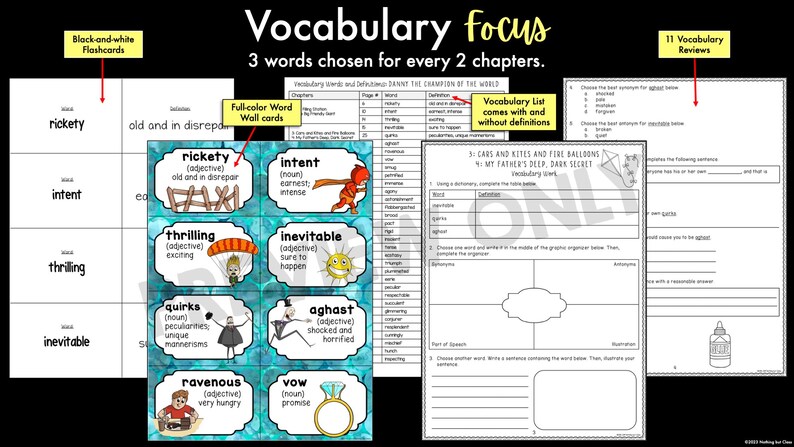 Danny the Champion of the World | Comprehension and Vocabulary by ...