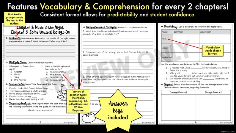 Bunnicula | Comprehension and Vocabulary by Chapter | Guided Reading ...