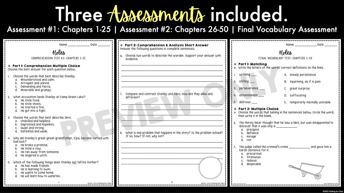 Holes Novel Study Unit | Literature Guide | Comprehension Worksheets ...