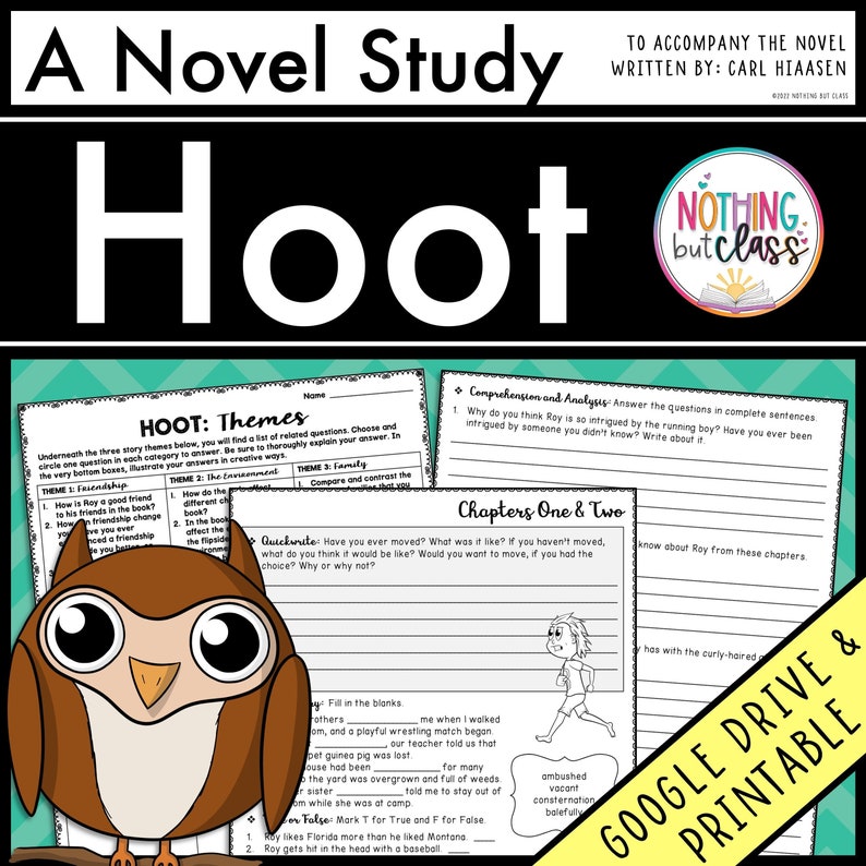 Hoot Novel Study Unit | Literature Guide | Comprehension Worksheets ...