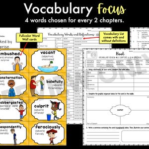 Hoot | Comprehension and Vocabulary by Chapter | Guided Reading ...