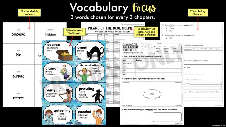 Island of the Blue Dolphins Novel Study Unit | Literature Guide ...