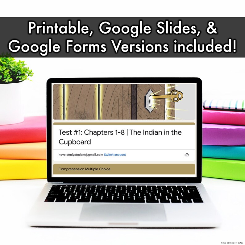 The Indian in the Cupboard - Tests | Quizzes | Assessments for Novel ...