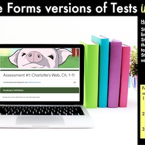 Charlotte's Web Tests | Quizzes | Assessments - Etsy