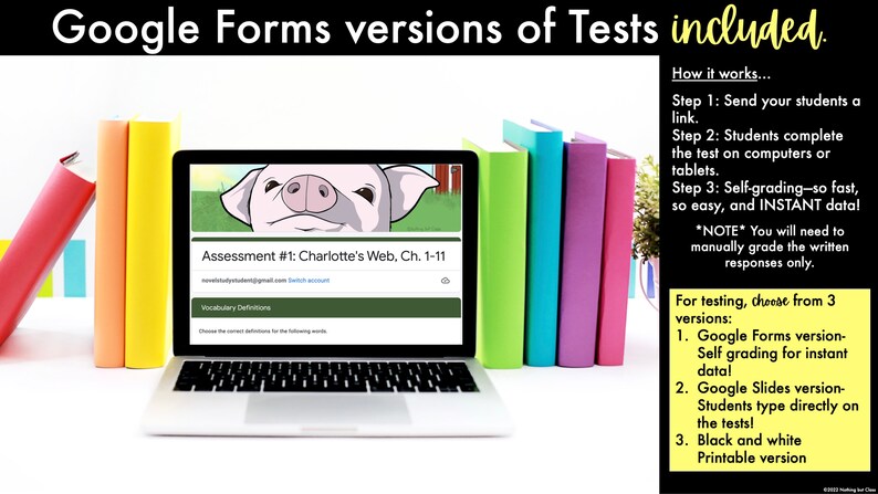 Charlotte's Web Tests | Quizzes | Assessments - Etsy