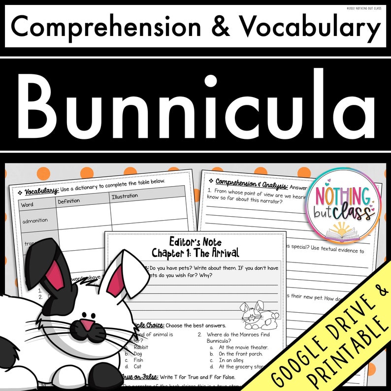 Bunnicula | Comprehension and Vocabulary by Chapter | Guided Reading ...