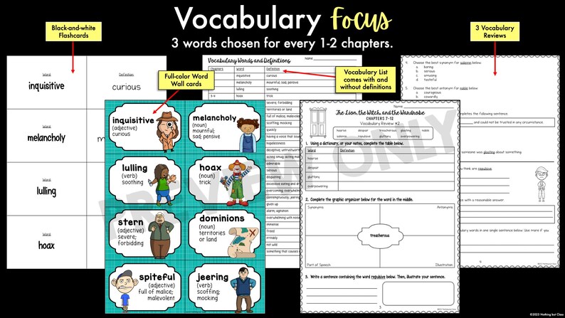 The Lion, the Witch, and the Wardrobe | Comprehension and Vocabulary by ...