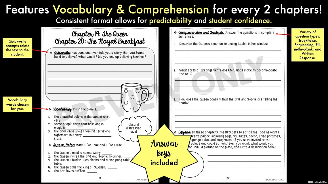 The BFG Novel Study Unit Literature Guide Comprehension Worksheets ...
