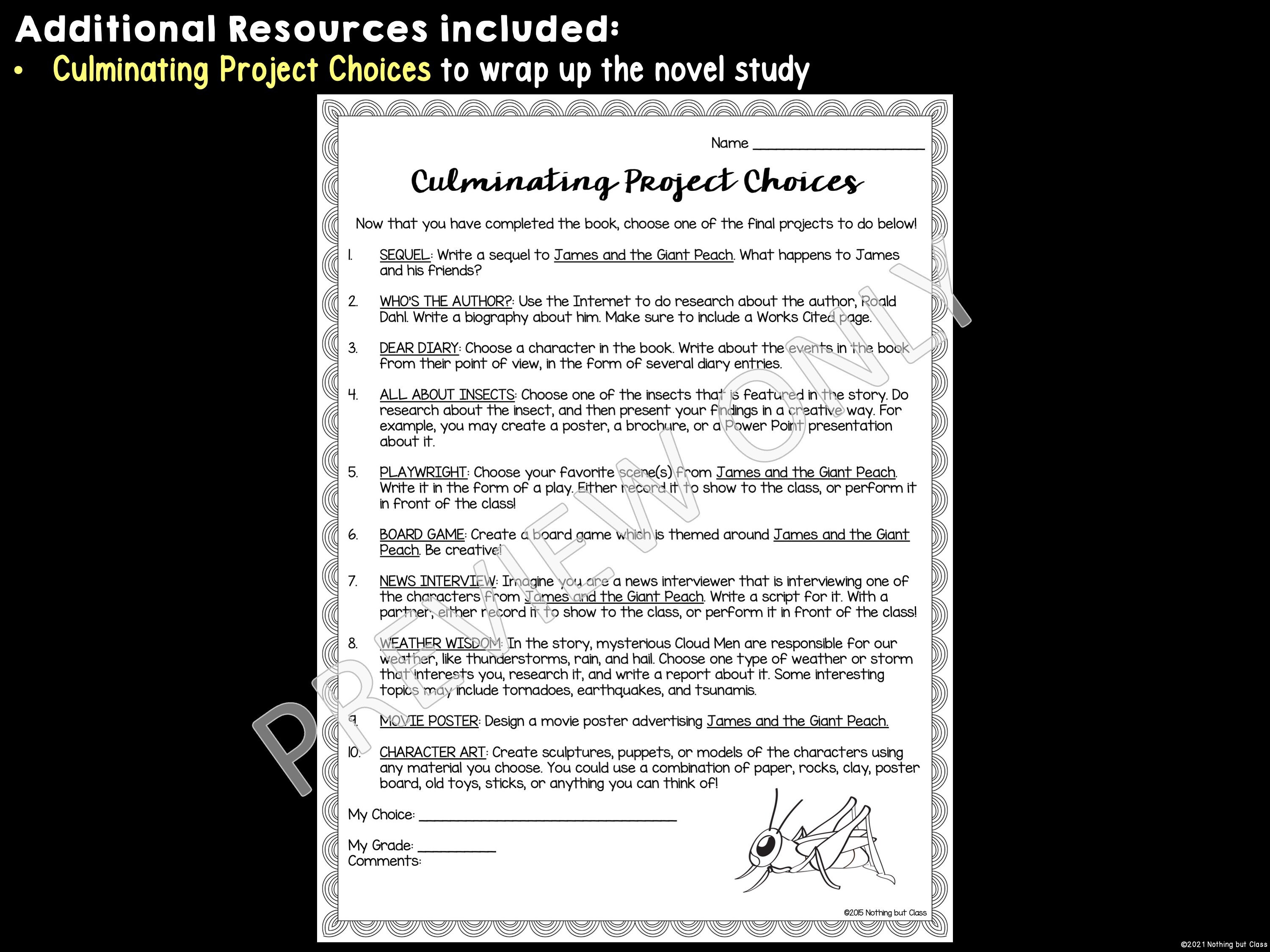 James and the Giant Peach Novel Study Unit | Literature Guide ...