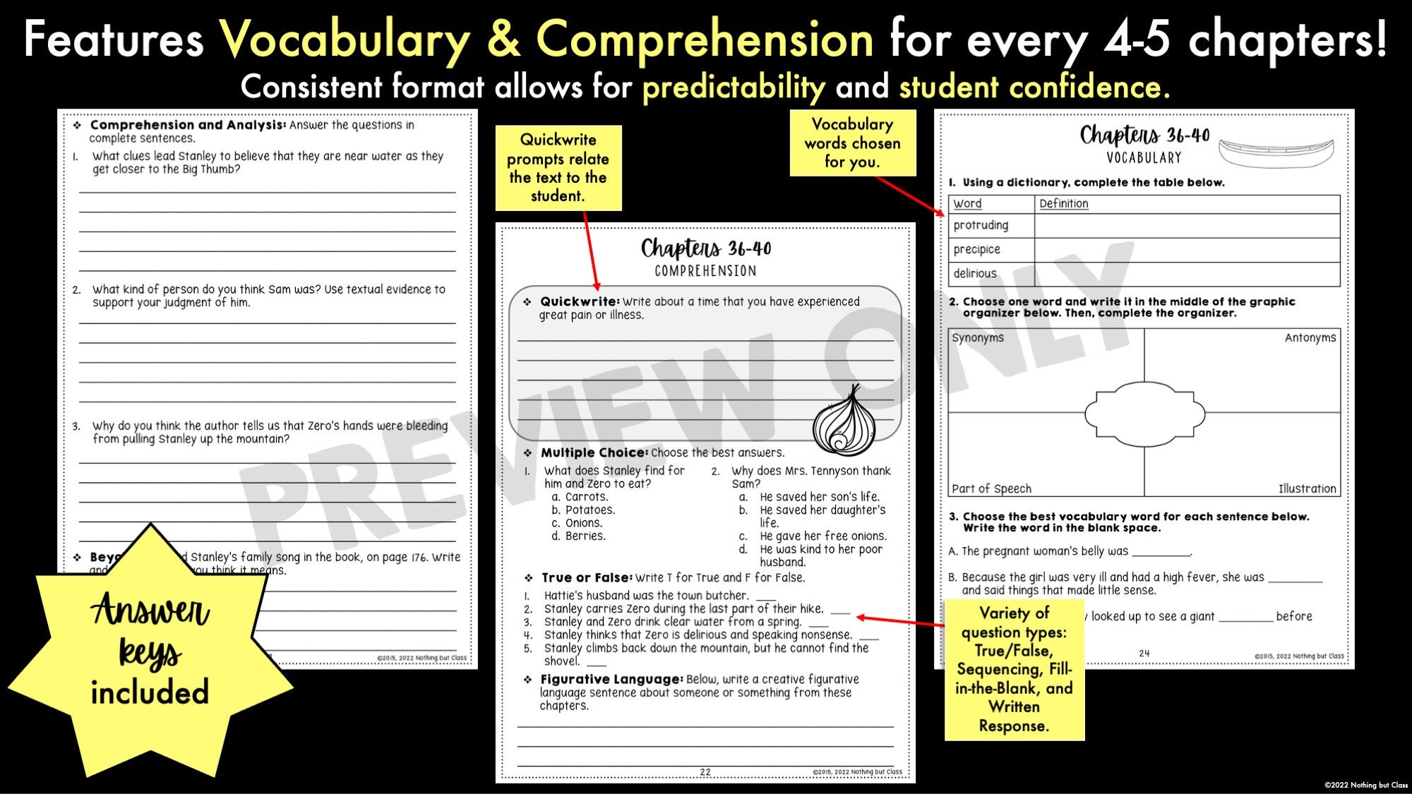 Holes Novel Study Unit | Literature Guide | Comprehension Worksheets ...