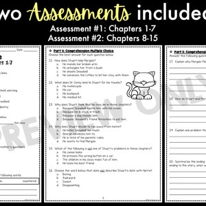 Stuart Little Novel Study Unit | Literature Guide | Comprehension ...