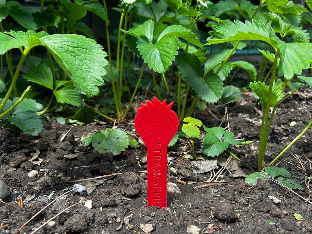Strawberry Plant Stake Marker-set of 5 Durable and Customizable Garden ...