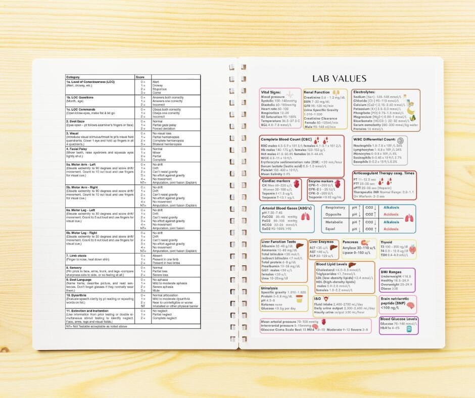 Stroke Nurse Report Notebook - Etsy