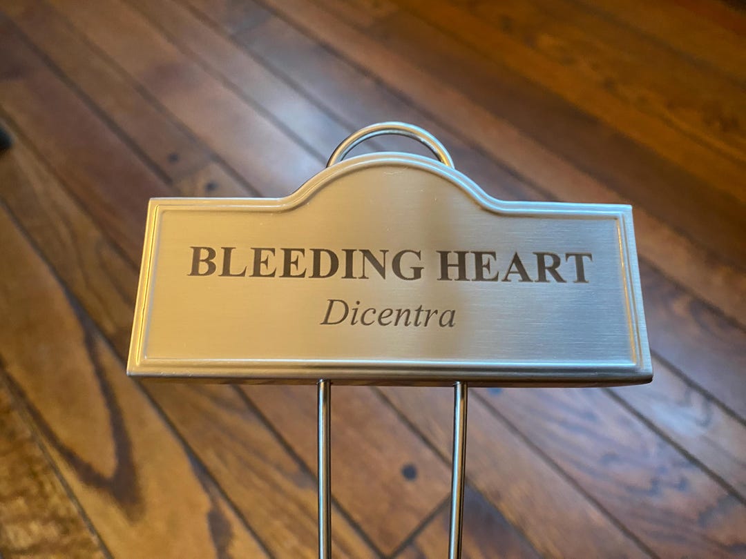 Custom Engraved Labels - Shipped With 11" Stakes - 3 1/2” X 1 1/4 ...