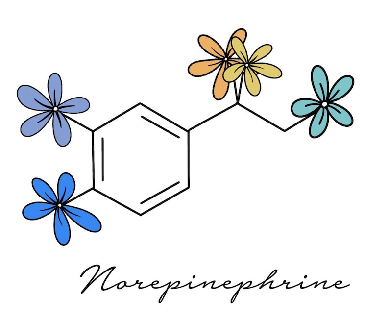 Norepinephrine Digital Download, Green and Blue Sticker, Science ...