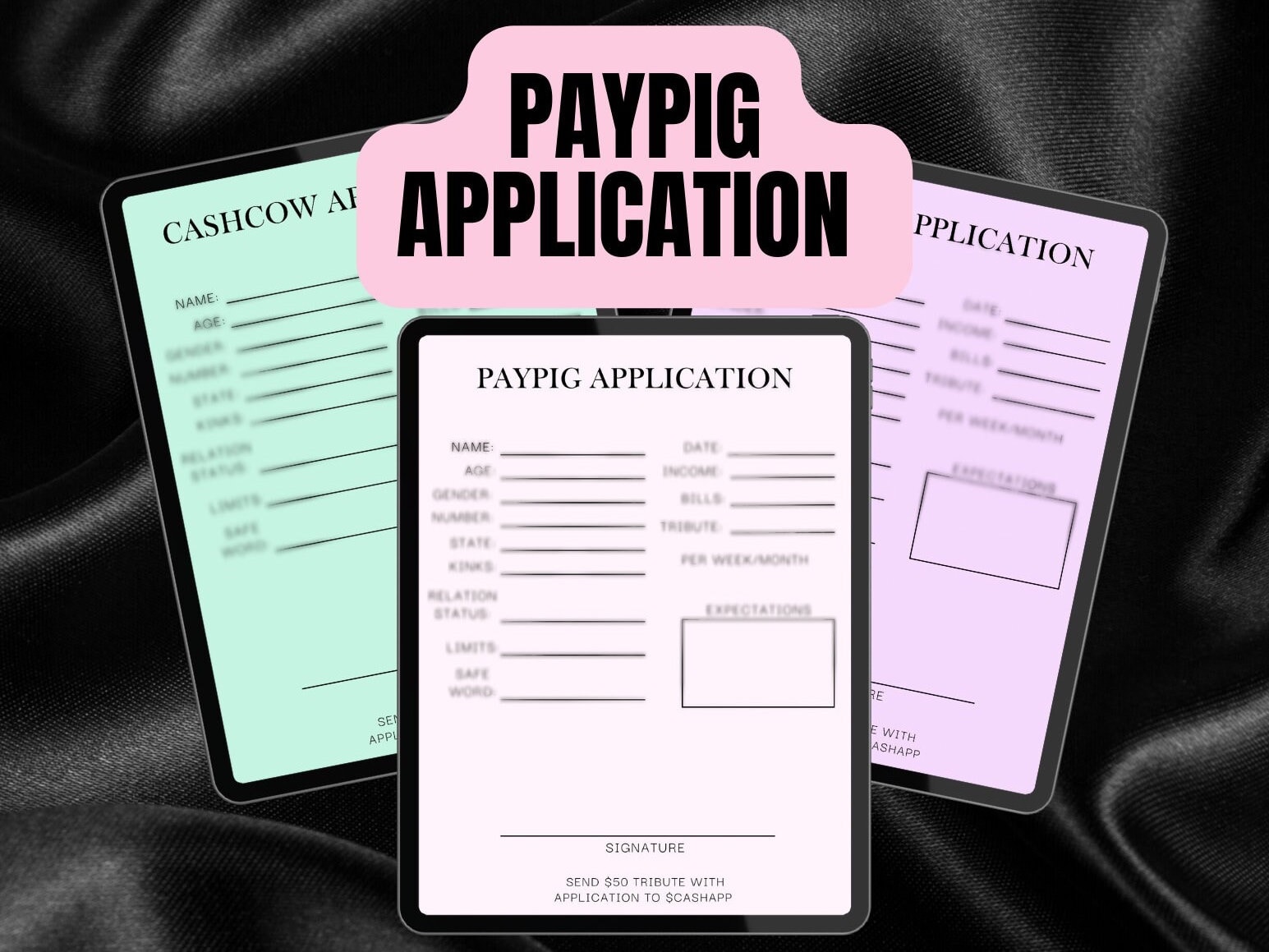 Paypig Application for Onlyfans Niche Models Cashcow Application for ...