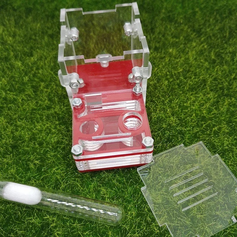New Small 3D Printed Ant Farm for New Queen or Small Colony Ants - Etsy